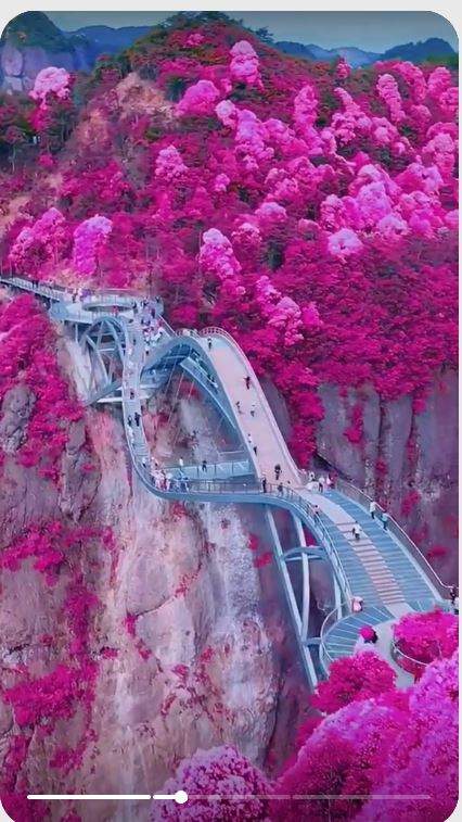 Solve distraction while crossing the bridge jigsaw puzzle online with ...