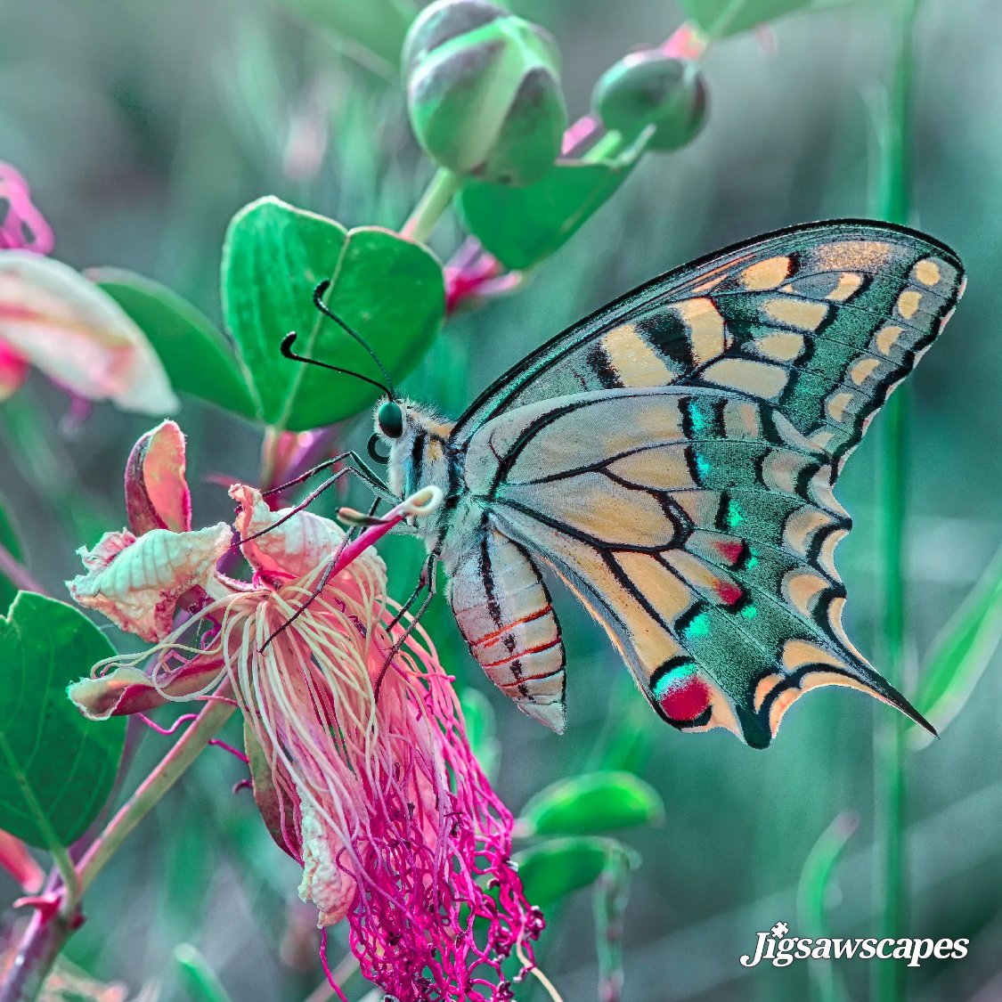 Solve Spring begins . . . . . jigsaw puzzle online with 9 pieces