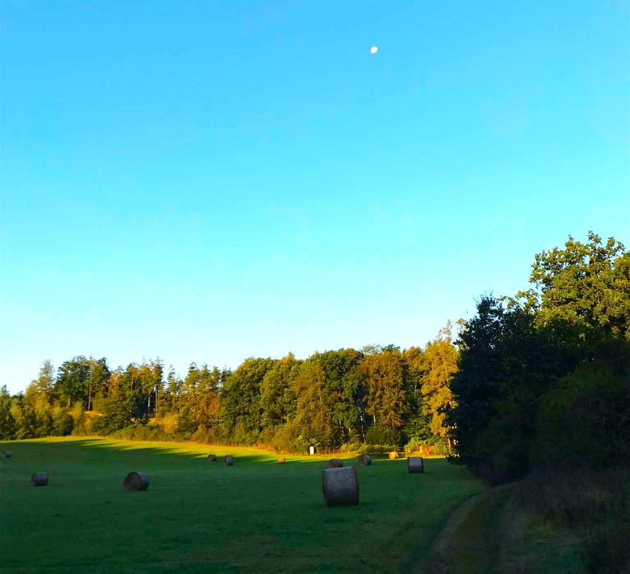 Solve Nature jigsaw puzzle online with 9 pieces