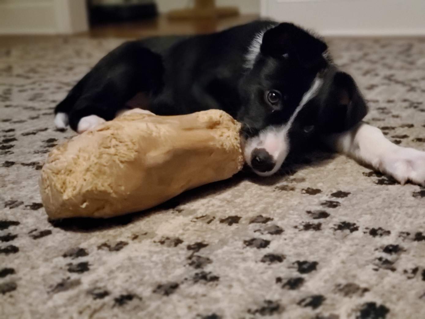 Solve Shark teeth jigsaw puzzle online with 35 pieces