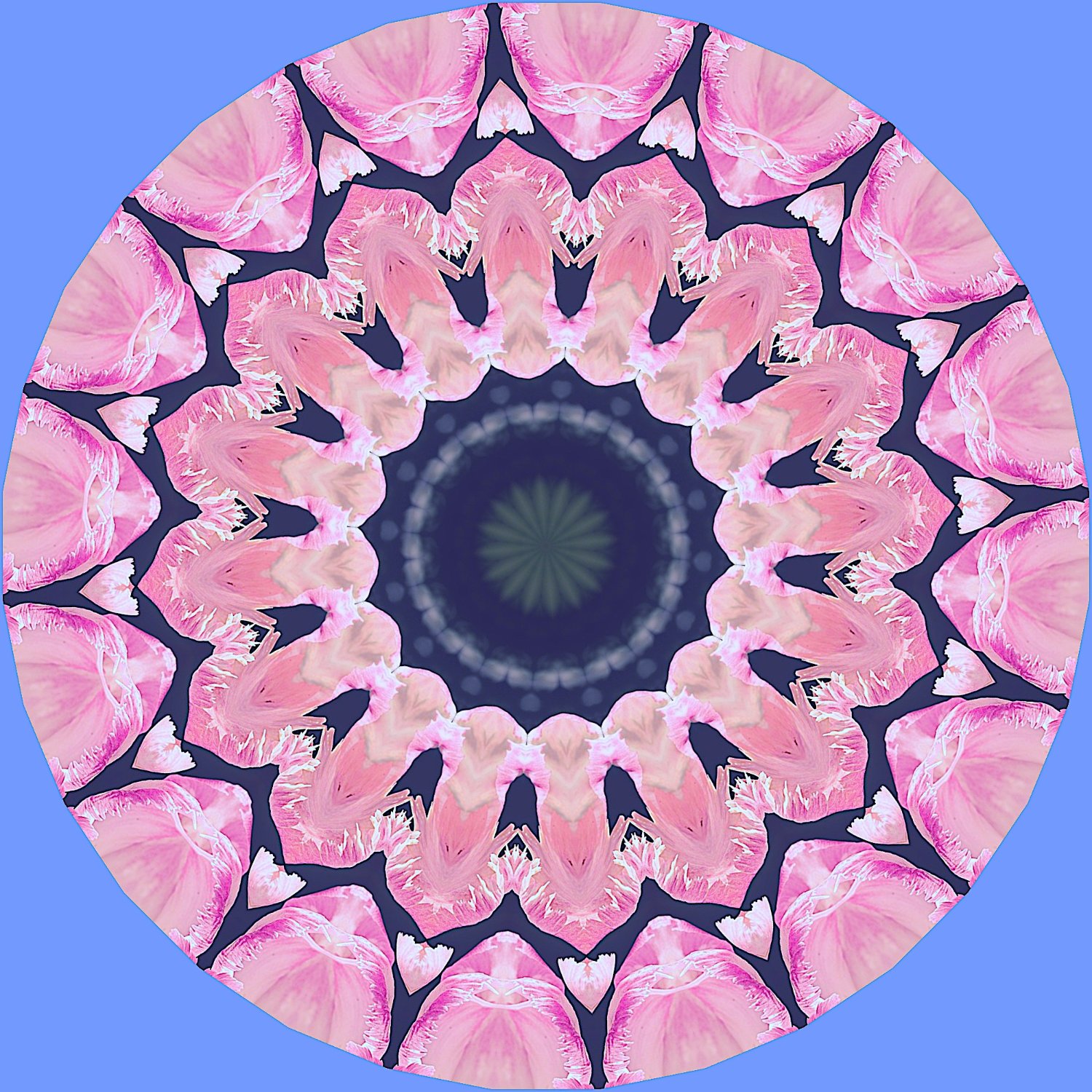 Solve #1 large jigsaw puzzle online with 144 pieces