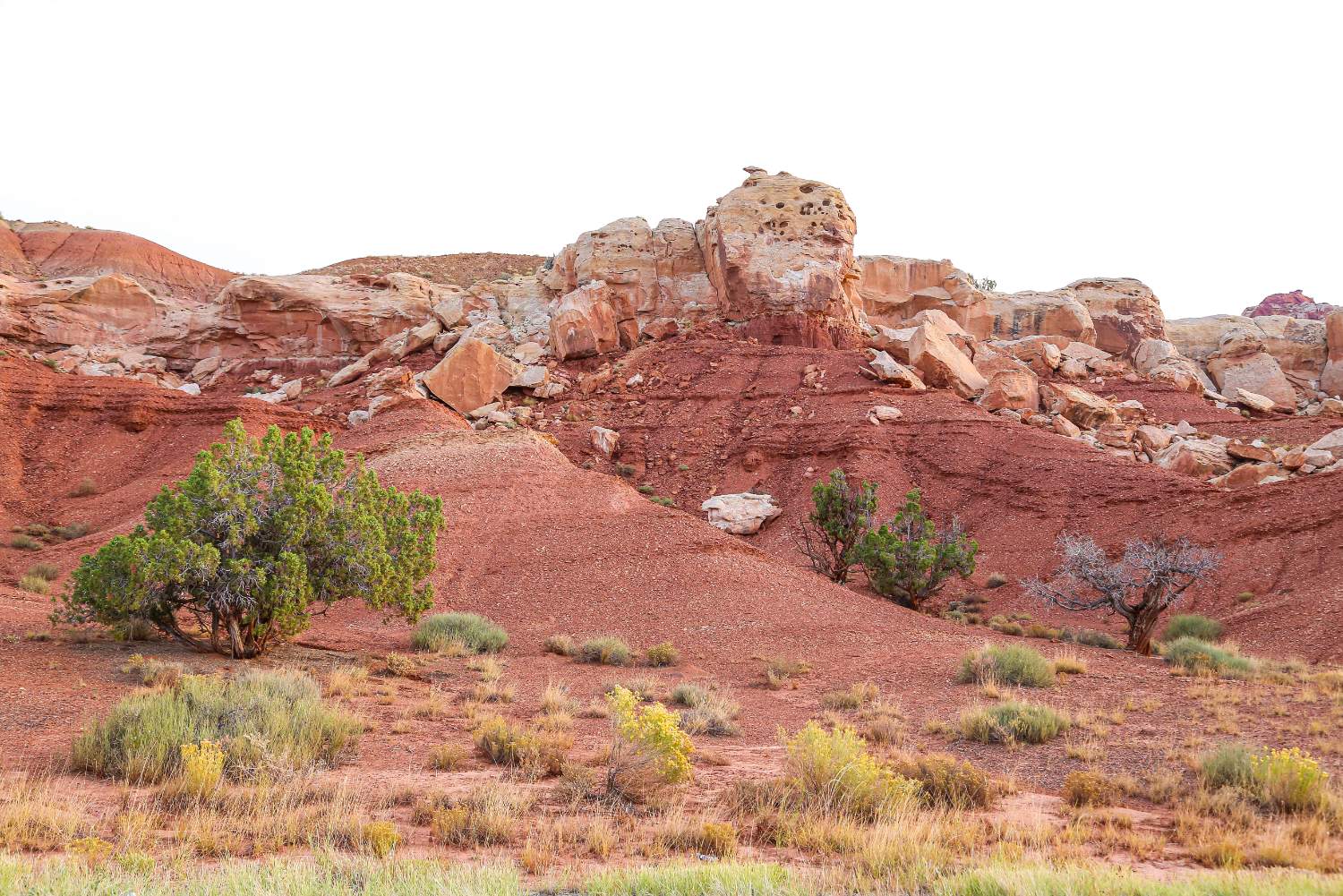 Solve RED ROCKS OF UTAH jigsaw puzzle online with 96 pieces