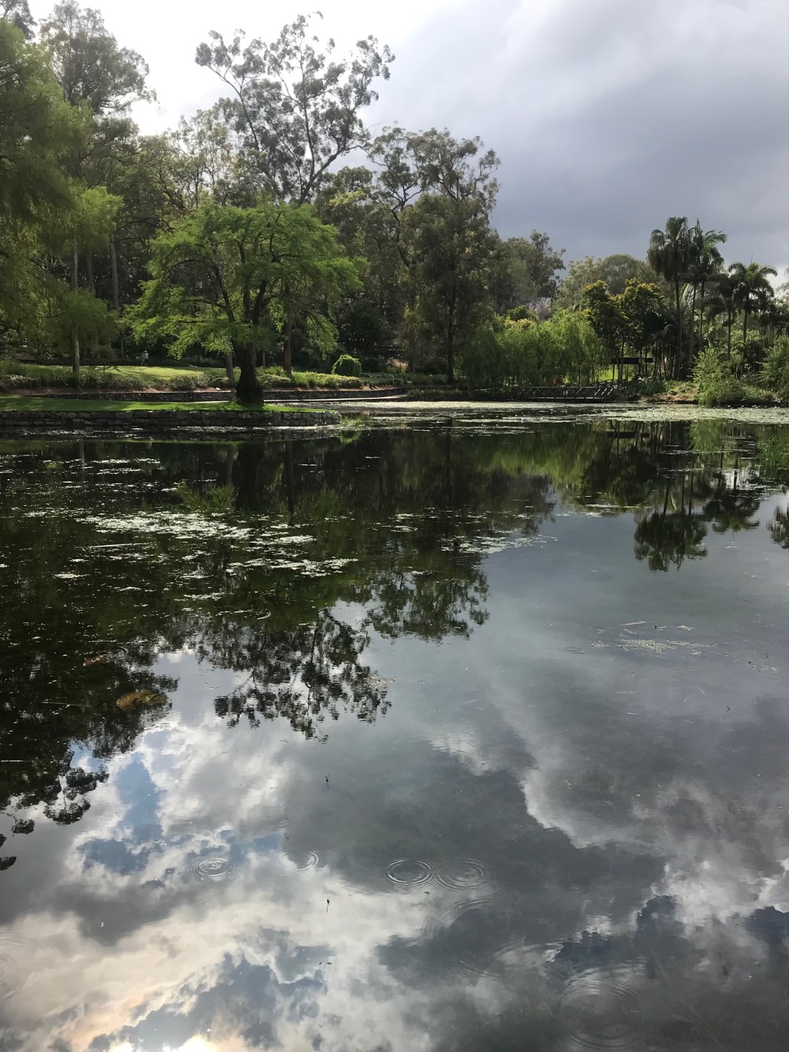 Solve Reflections jigsaw puzzle online with 108 pieces