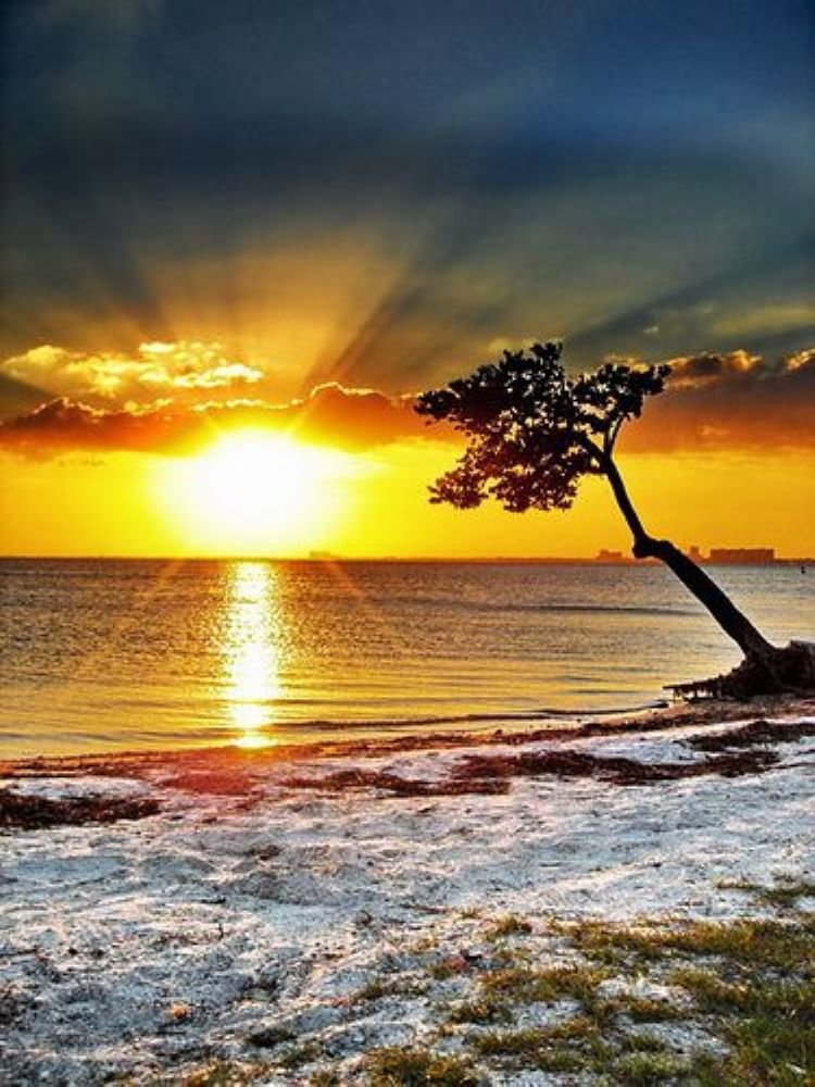 Solve Beach sunset jigsaw puzzle online with 88 pieces