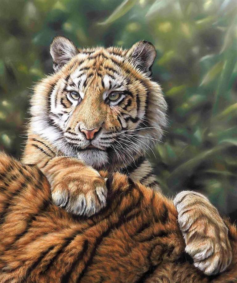 Solve Sumatran Tiger Cub jigsaw puzzle online with 12 pieces