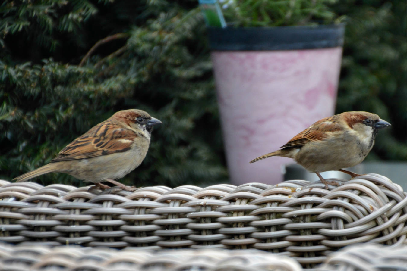 Solve Roermond, musjes jigsaw puzzle online with 126 pieces