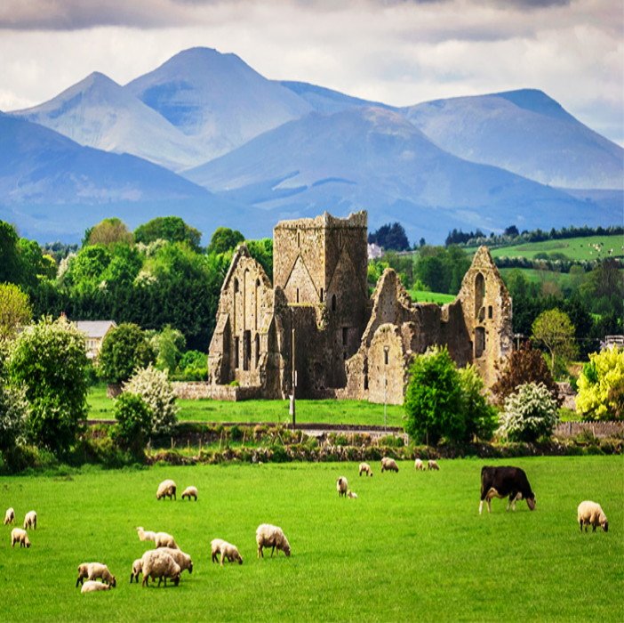 Solve Hore Abbey, Ruined Cistercian Monastery Near The Rock Of Cashel ...