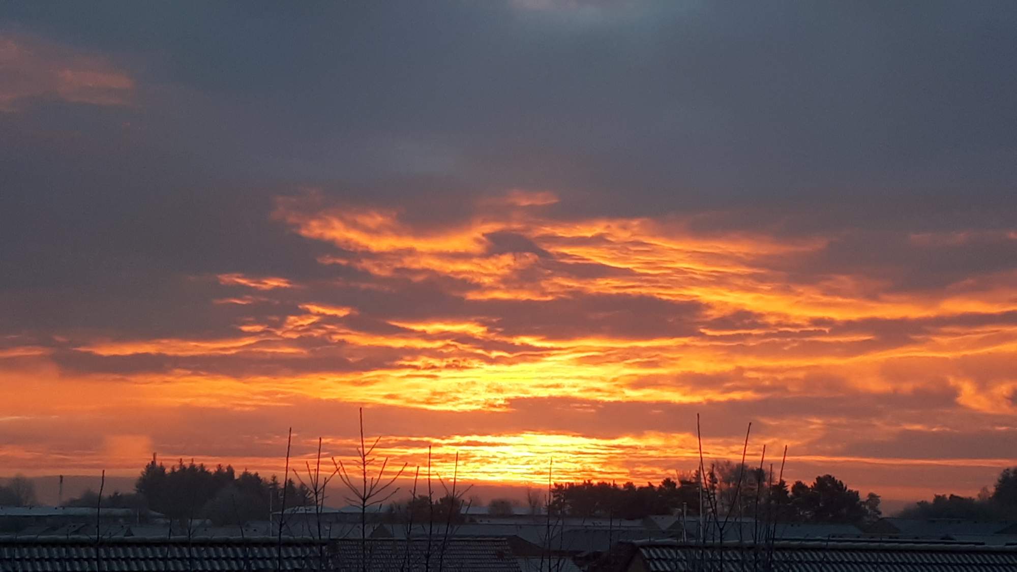 Solve Sol 2 jigsaw puzzle online with 510 pieces