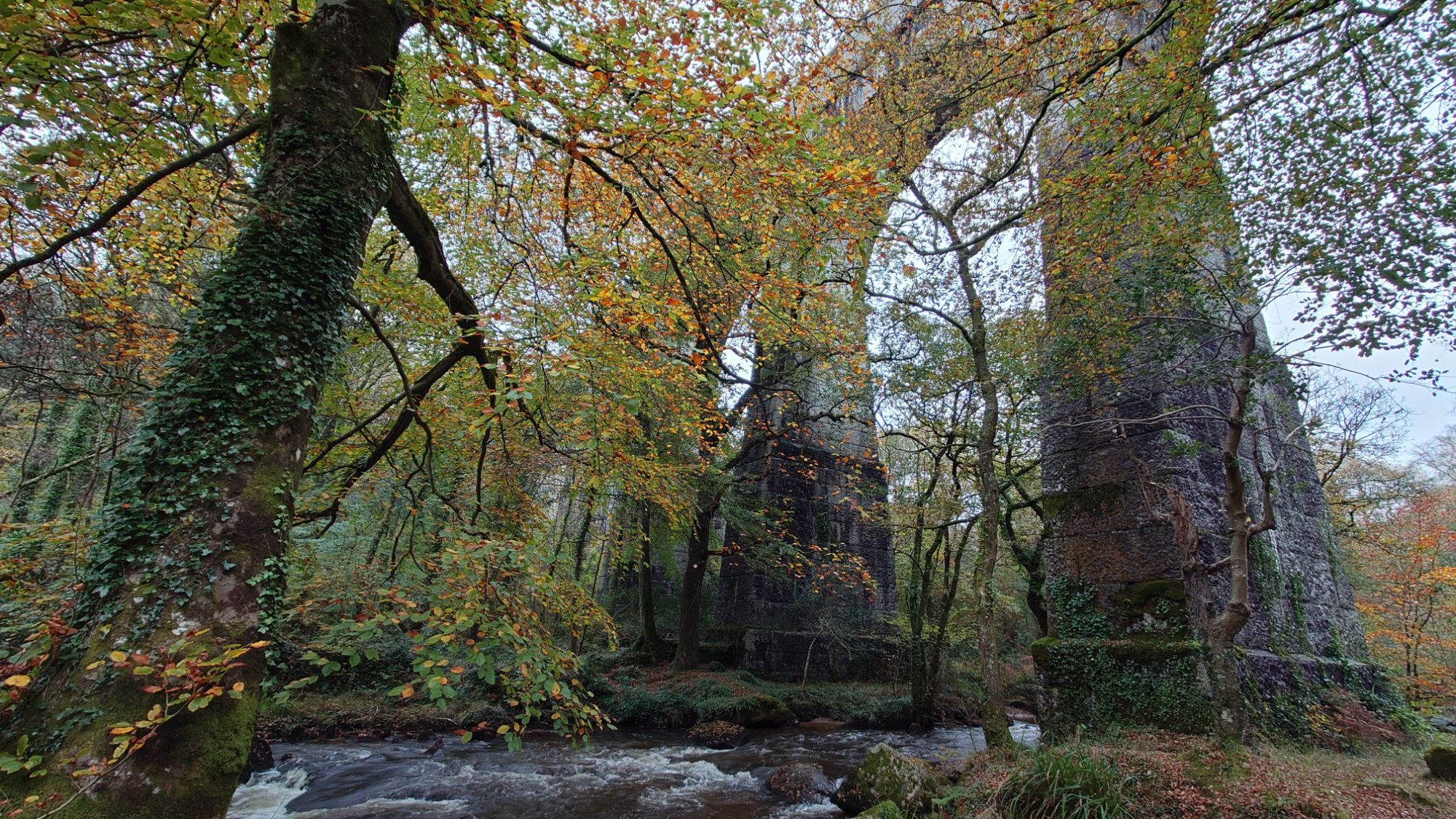 Jigsaw Puzzle | 120 pieces | Treffry Viaduct from below. Luxulyan ...