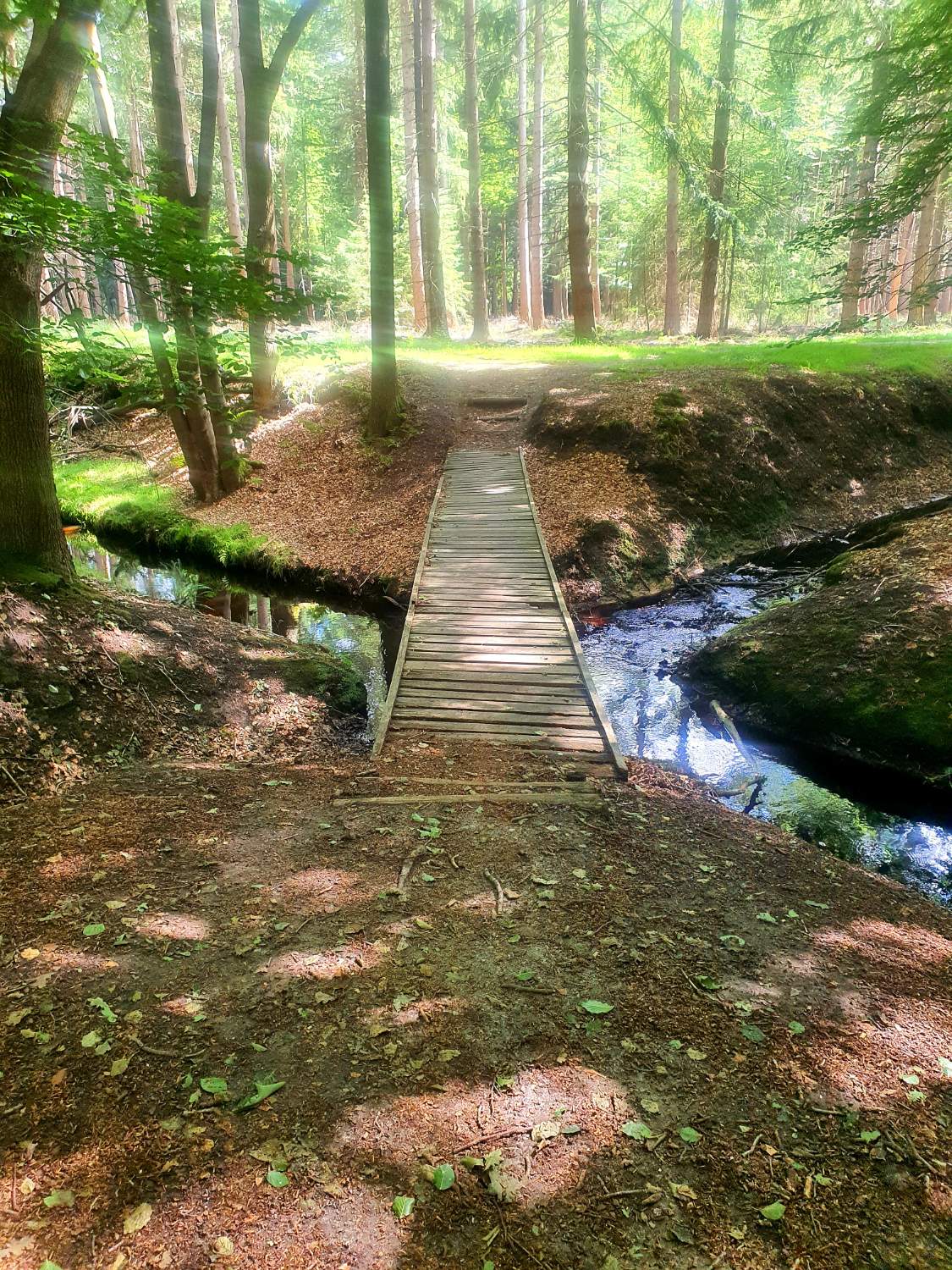 Solve Bos veenhuizen jigsaw puzzle online with 300 pieces