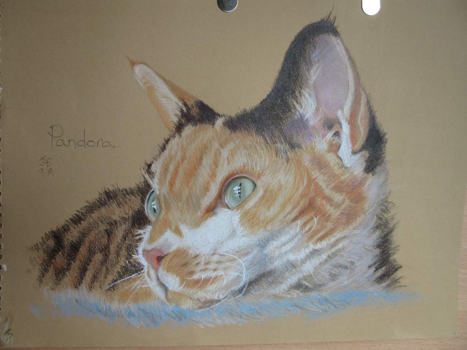 Solve Pandy drawing finished jigsaw puzzle online with 48 pieces