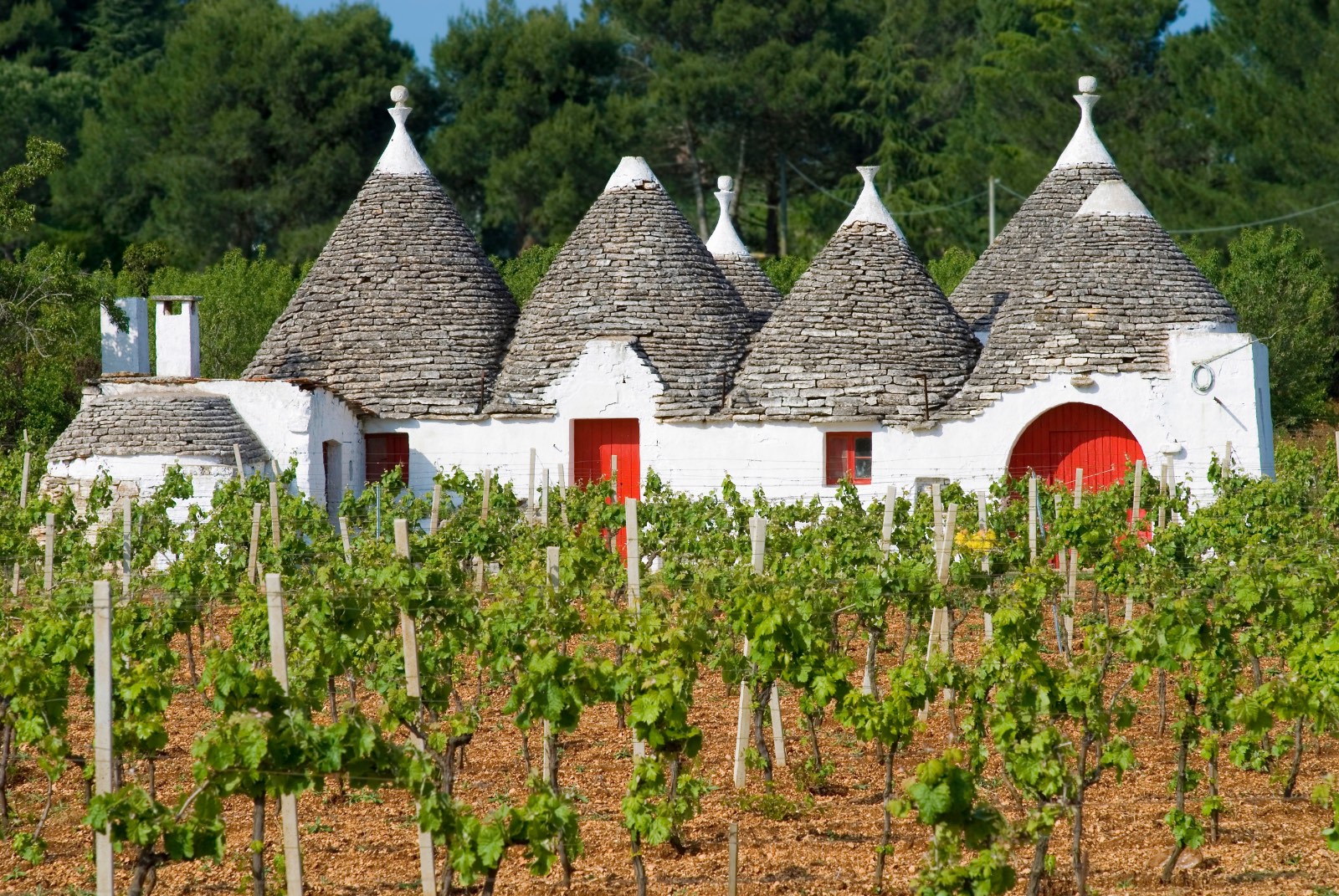 Solve Thank you! jigsaw puzzle online with 40 pieces