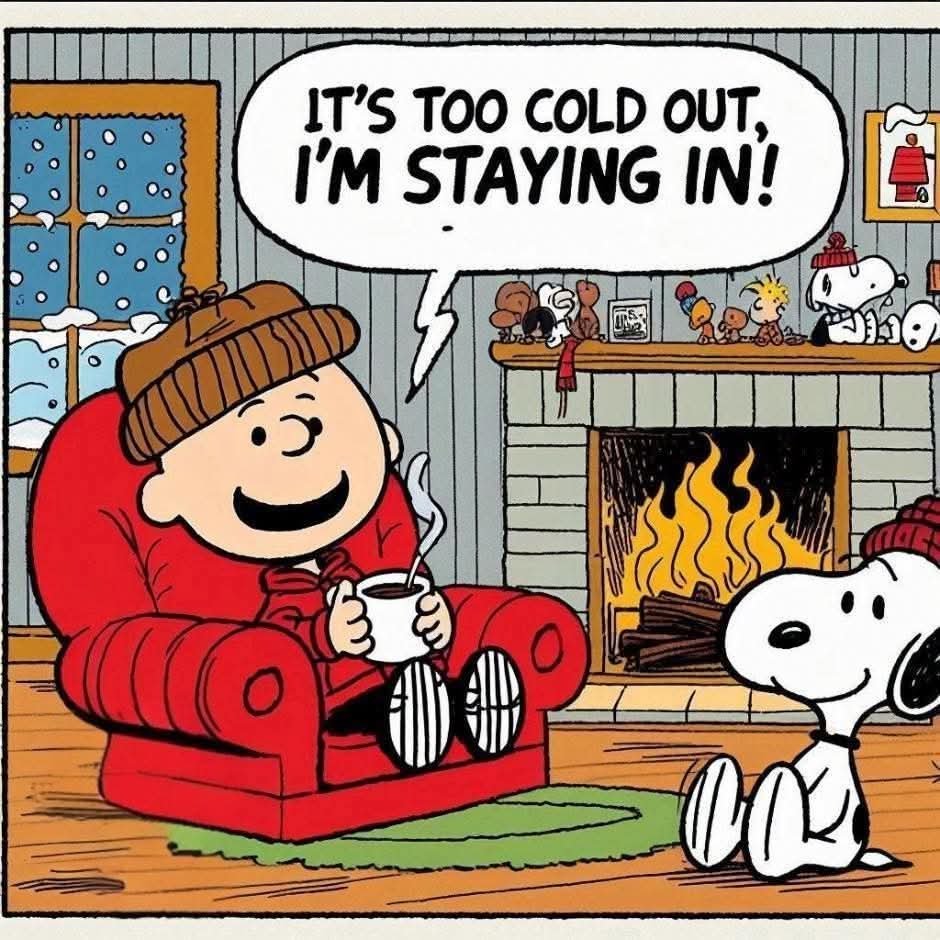 Solve Good idea, Charlie Brown and Snoopy! jigsaw puzzle online with 25 ...