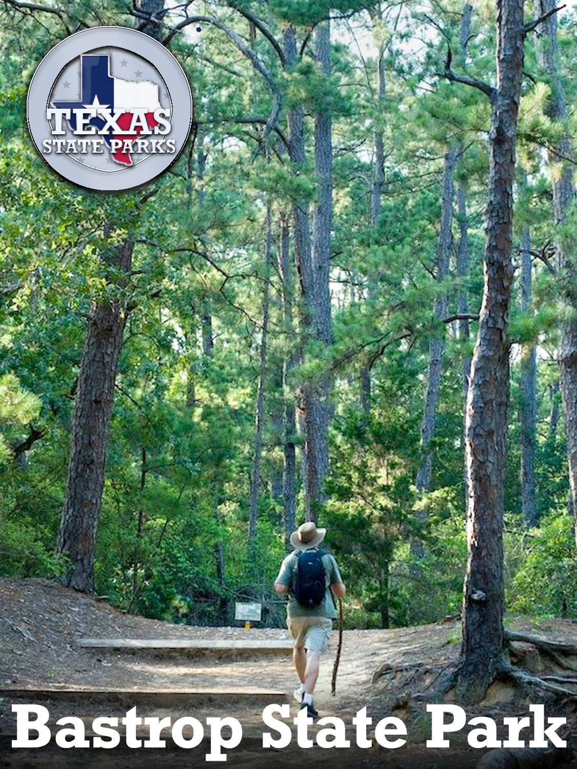 Solve 04 Bastrop State Park jigsaw puzzle online with 204 pieces