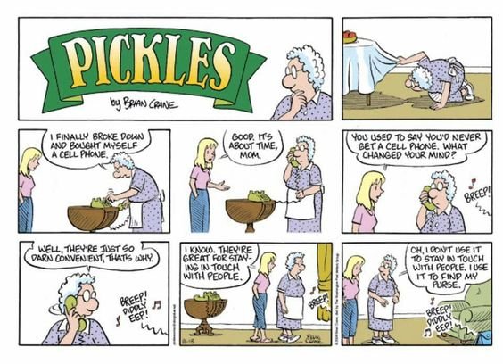 Solve Pickles 725 jigsaw puzzle online with 12 pieces