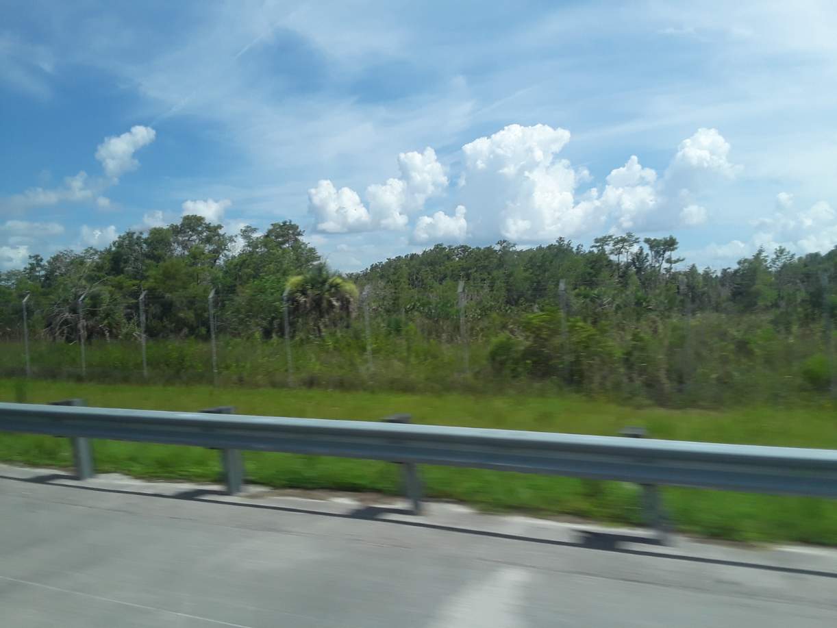Solve Clouds forming over Alligator Alley highway on our way to Naples ...