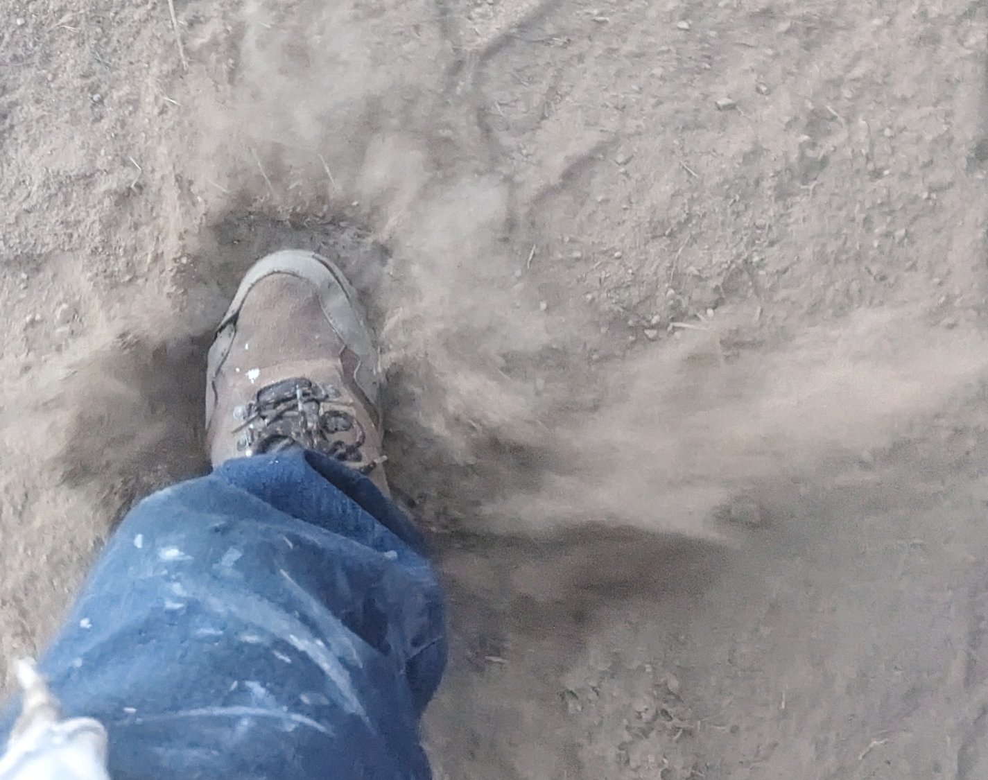 Solve Dusty jigsaw puzzle online with 20 pieces