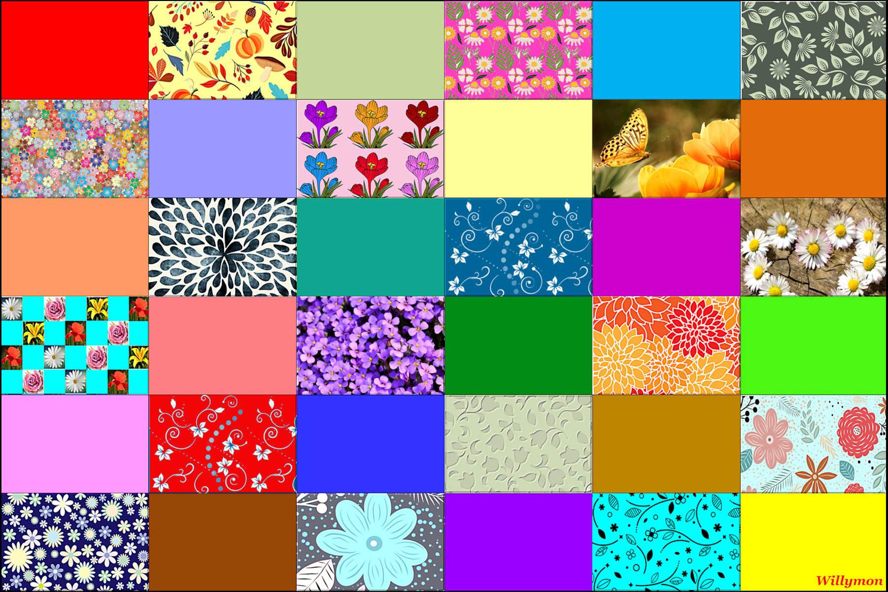 Solve flowers and colors jigsaw puzzle online with 216 pieces