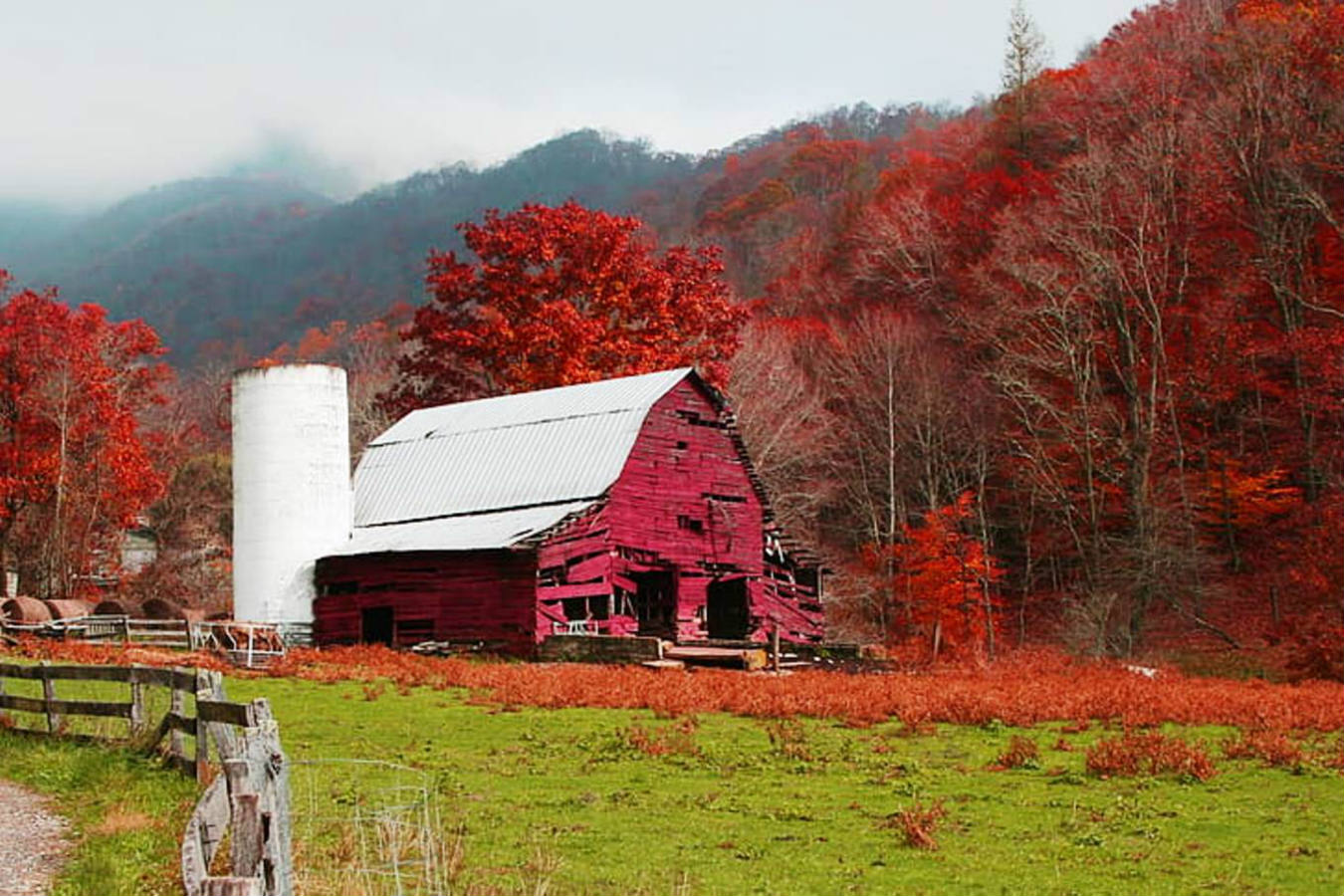 Solve Red Barn During Fall jigsaw puzzle online with 126 pieces