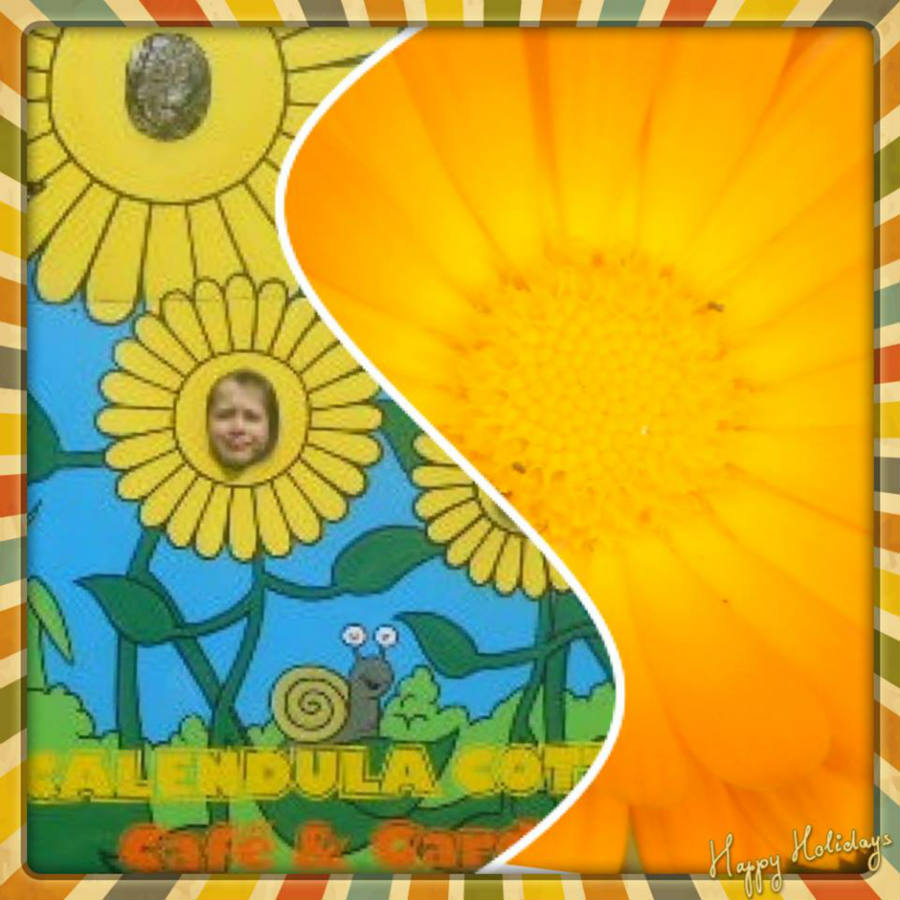 Solve Calendula Cottage Cafe, jigsaw puzzle online with 49 pieces