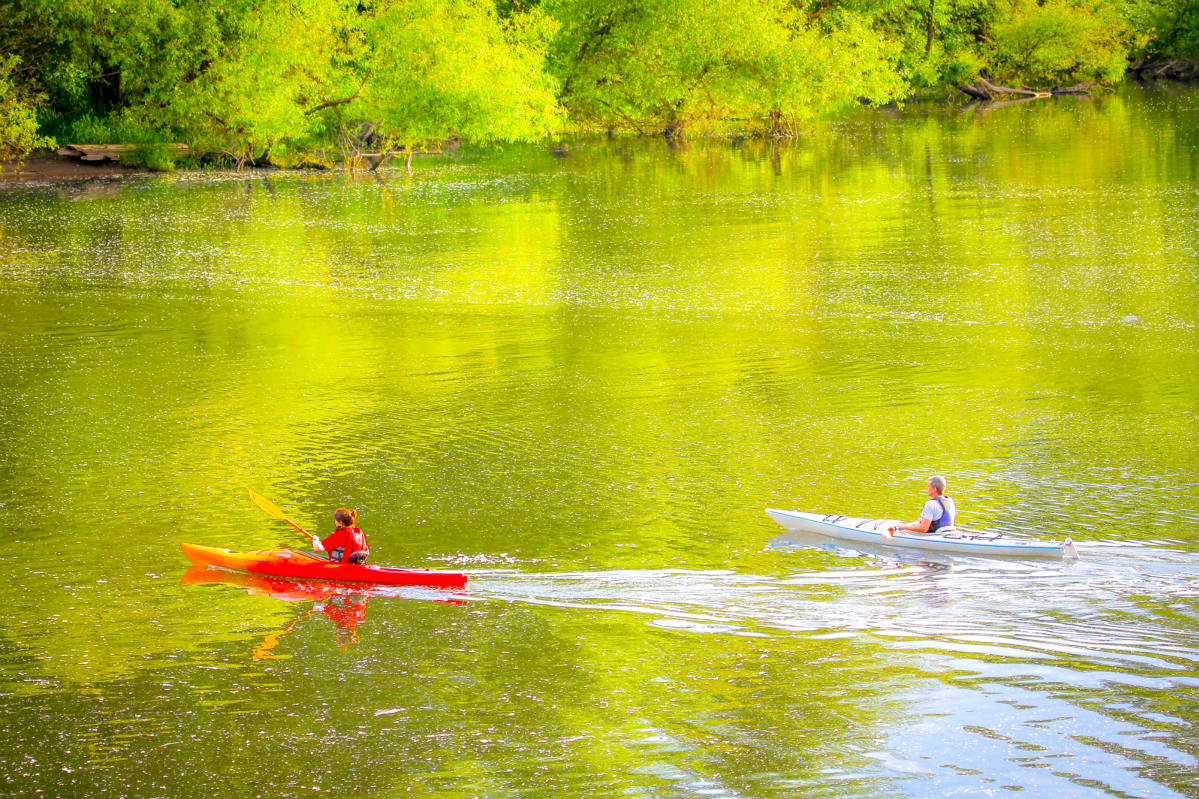 Solve KAYAK AFTERNOON jigsaw puzzle online with 77 pieces