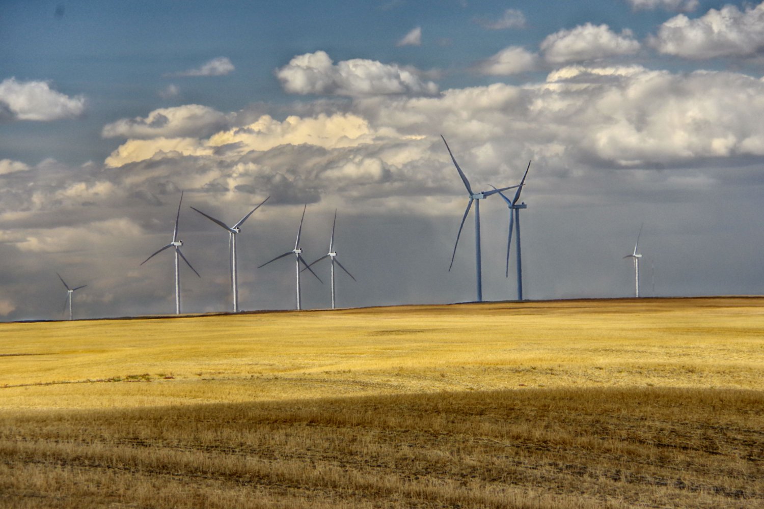 Solve Wind Farm jigsaw puzzle online with 12 pieces