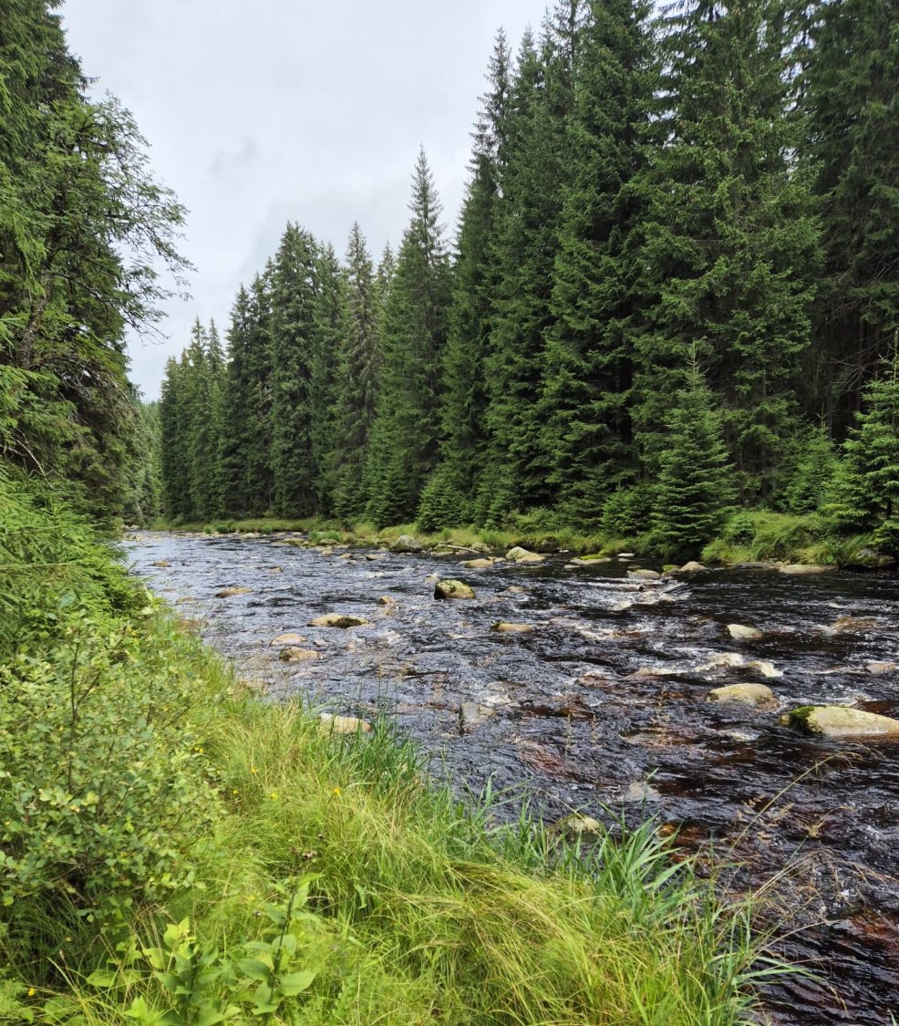 Solve Nature jigsaw puzzle online with 9 pieces