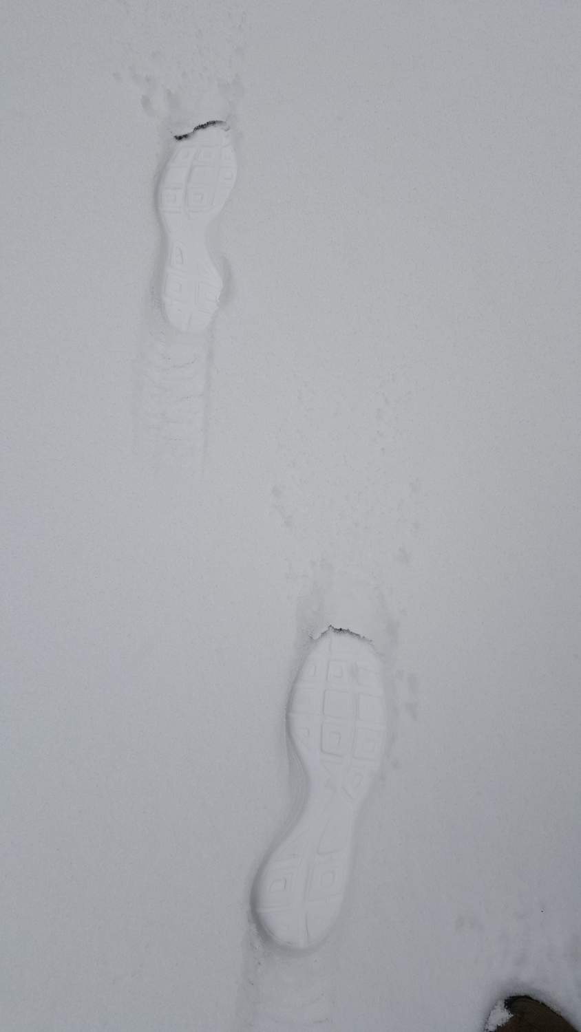 Solve Footprints in the Snow jigsaw puzzle online with 350 pieces