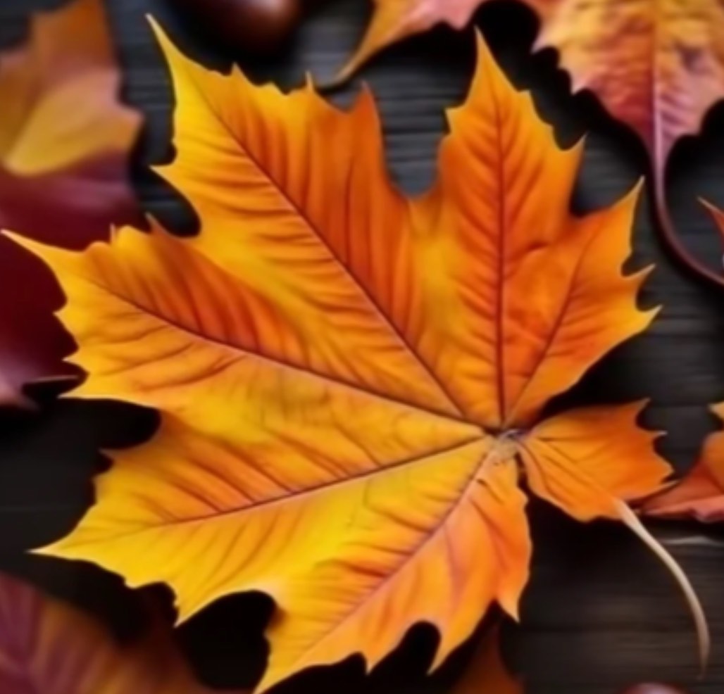 Solve LEAF jigsaw puzzle online with 210 pieces