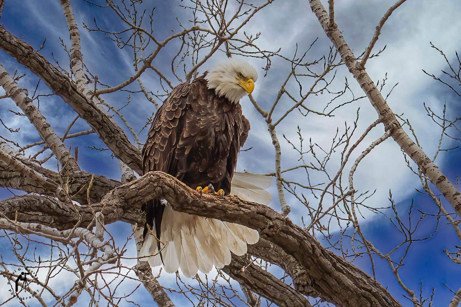 Solve IMGL0157-Edit-Edit jigsaw puzzle online with 117 pieces