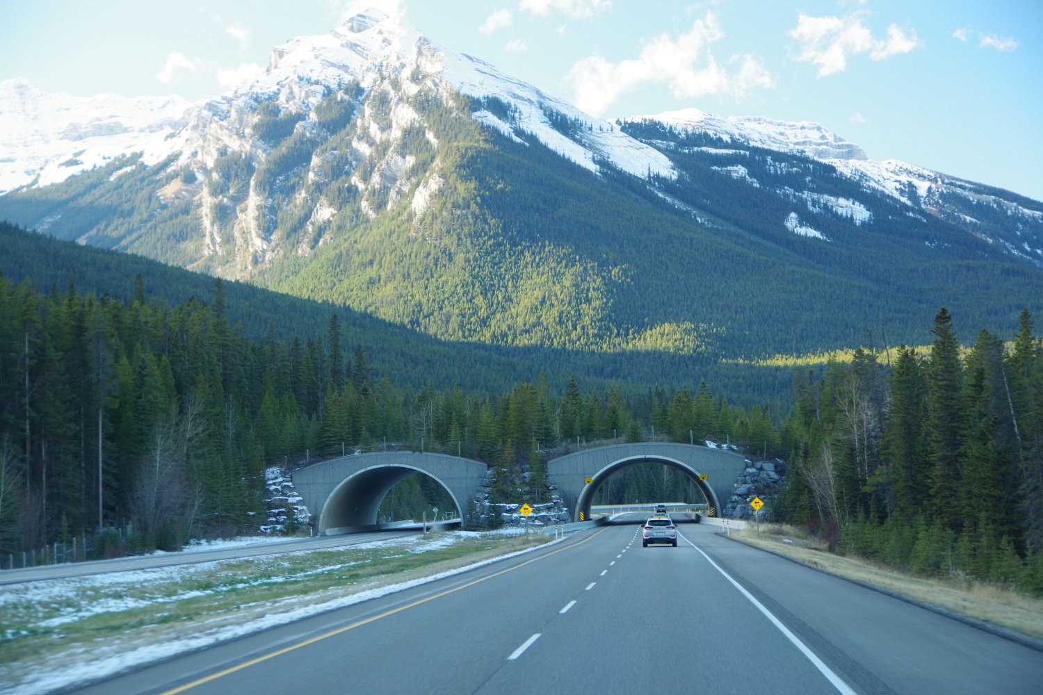 Solve Banff Park Wildlife Overpass jigsaw puzzle online with 12 pieces