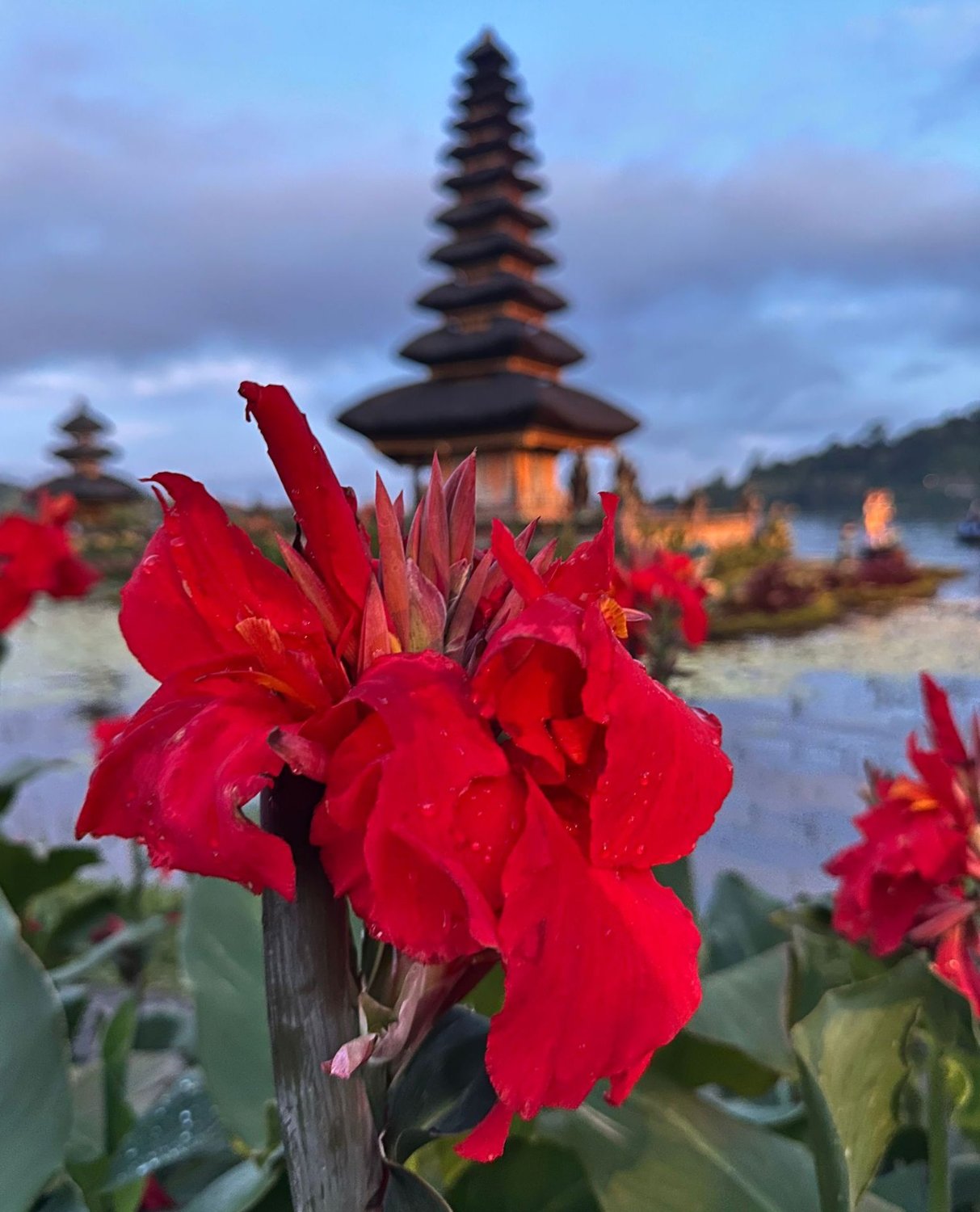 Solve in Bali jigsaw puzzle online with 72 pieces