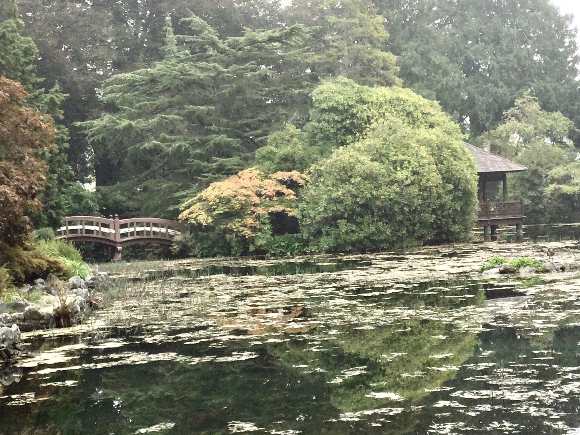 Solve Japanese garden, Royal Roads University, Victoria BC jigsaw ...