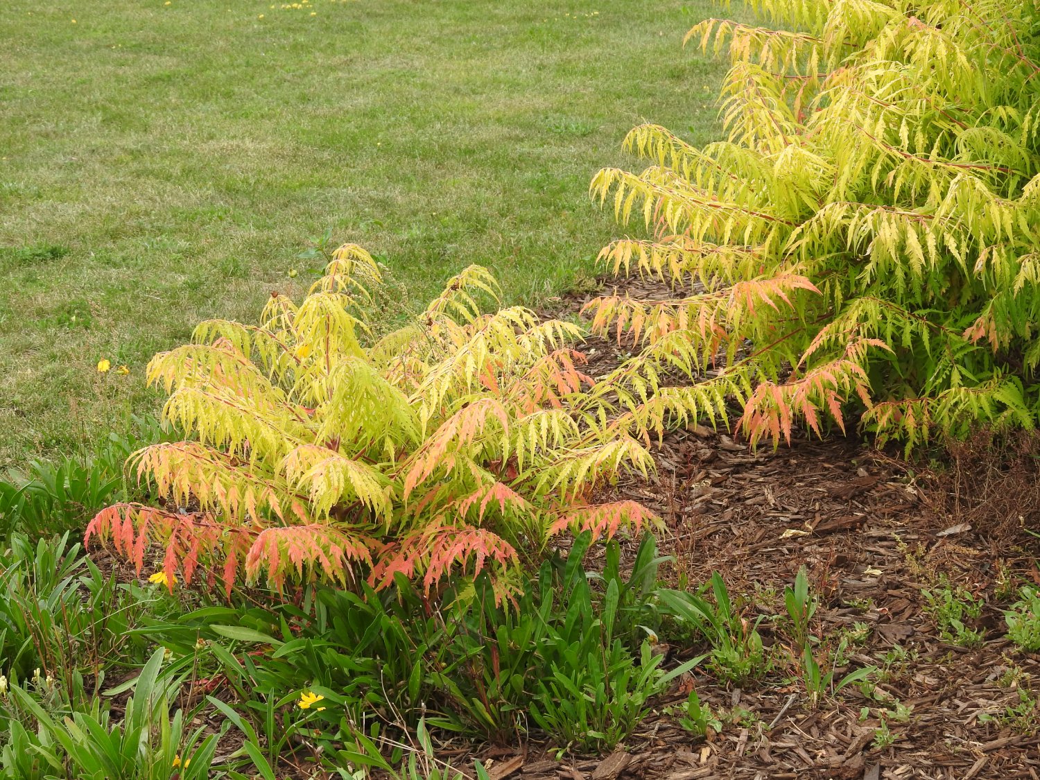 Solve transformation jigsaw puzzle online with 12 pieces