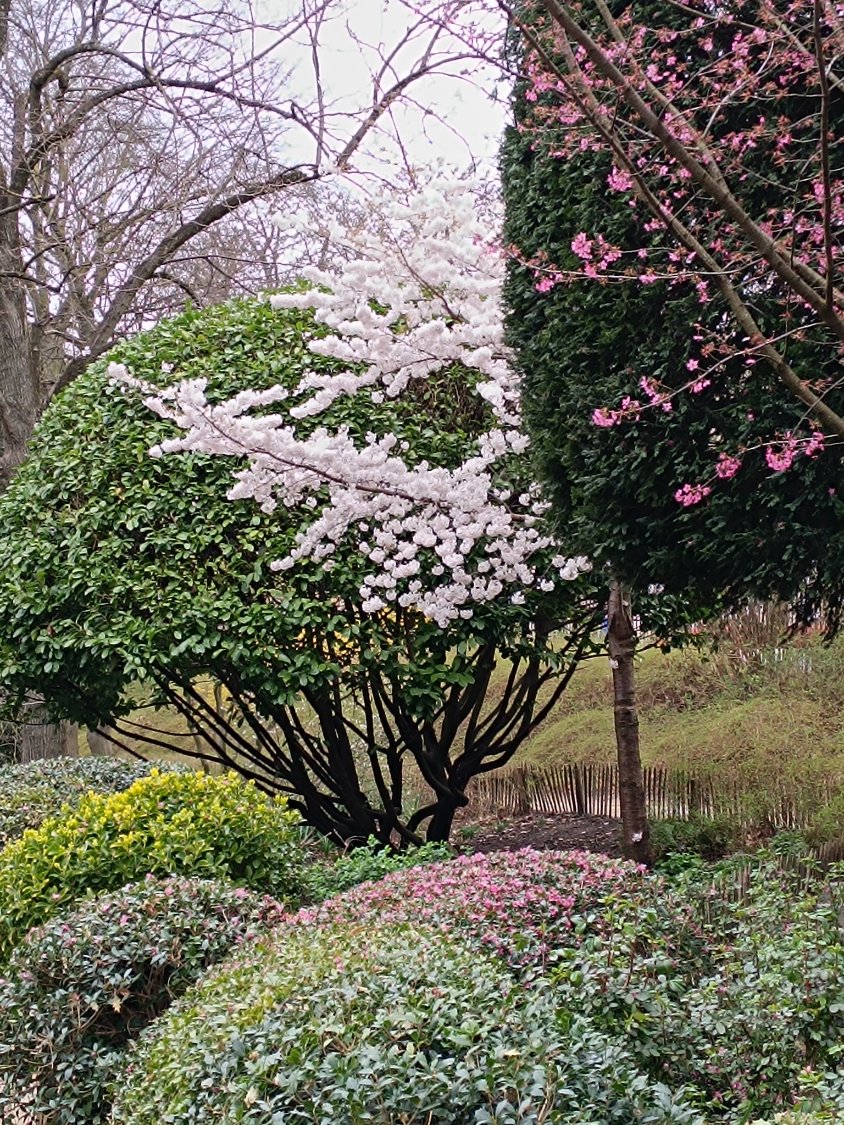 Solve Smells spring, looks like spring, it seems to be spring ...