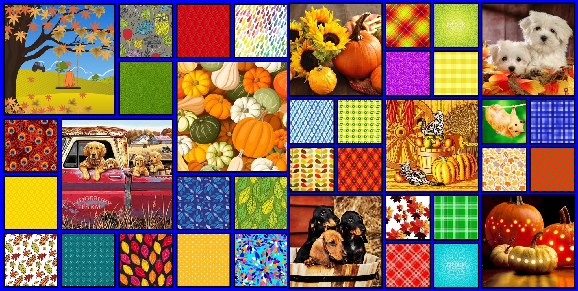 Solve Pumpkin Patch Fun jigsaw puzzle online with 325 pieces