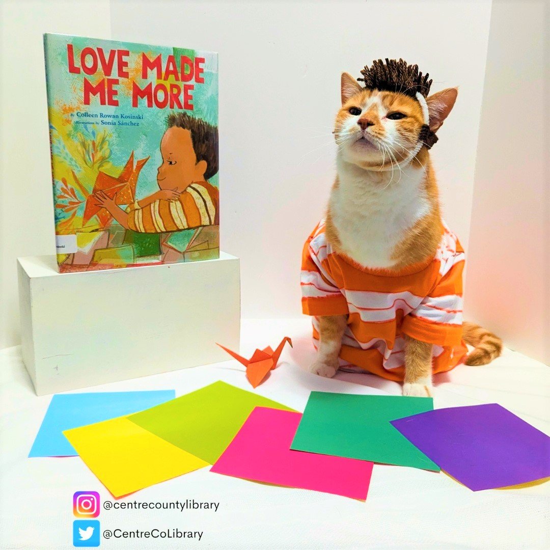 Solve Cat Icon Game #204 - Horatio the Library Cat celebrates Library ...