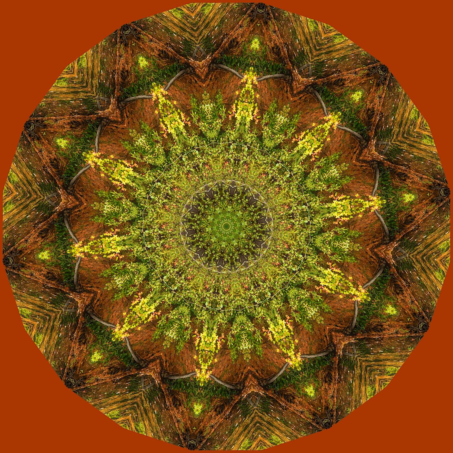 Solve #2 large jigsaw puzzle online with 144 pieces