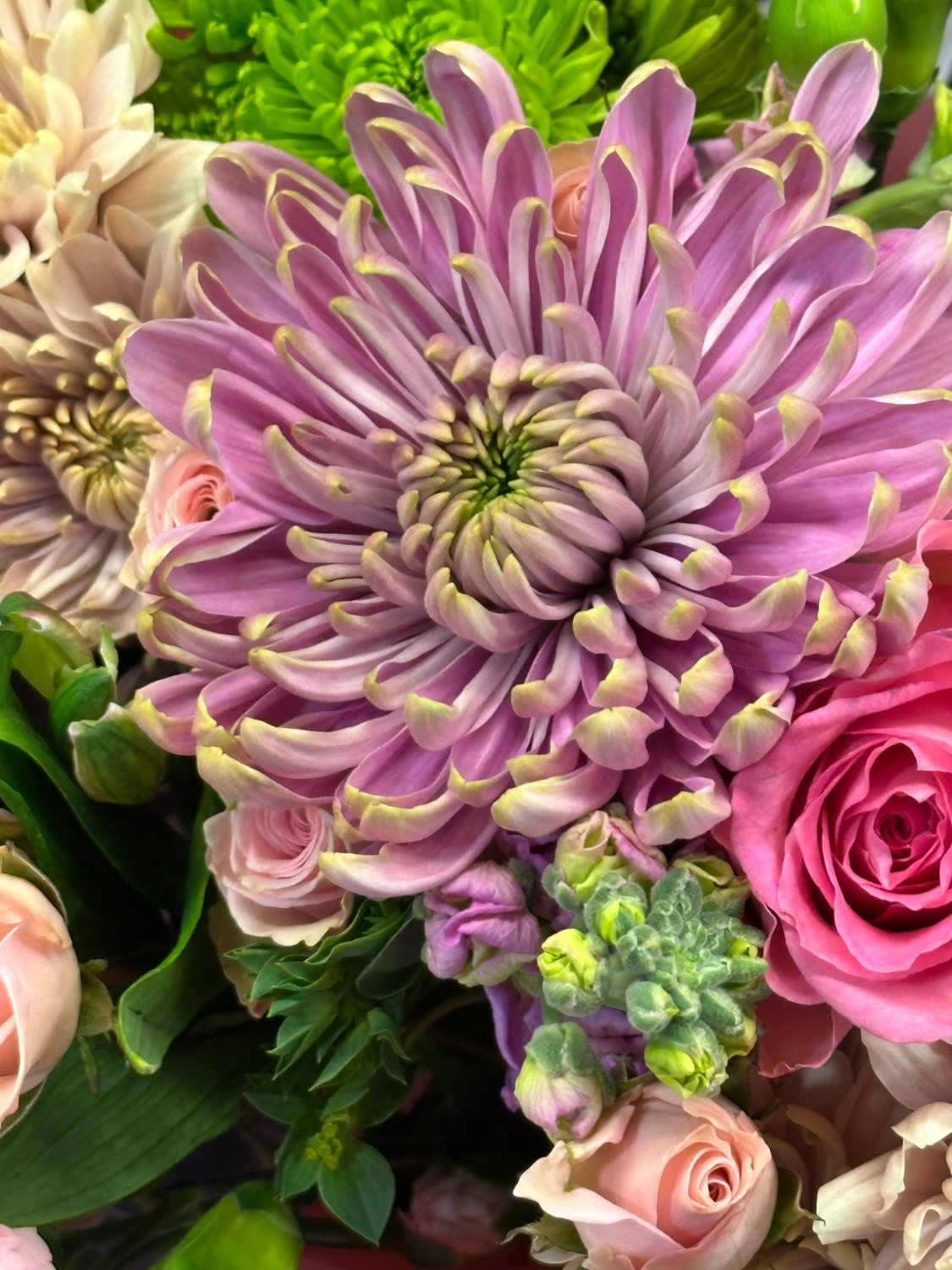 Solve Magnificent chrysanthemum jigsaw puzzle online with 80 pieces