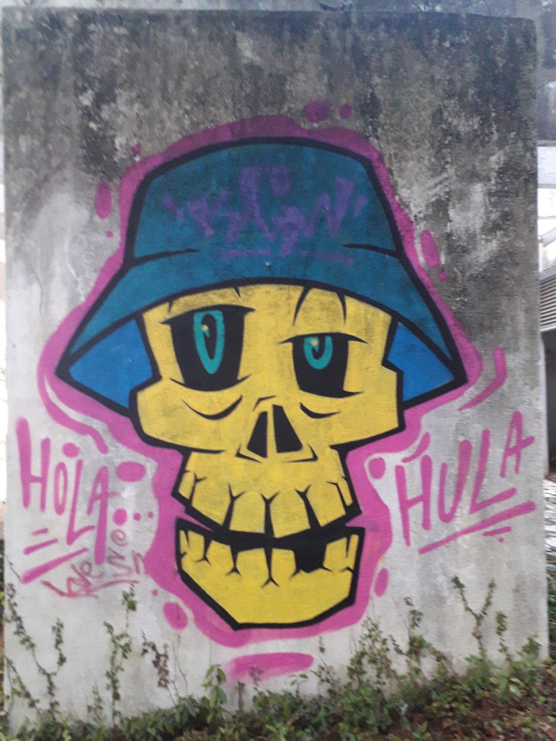 Solve Graffiti Skull jigsaw puzzle online with 48 pieces
