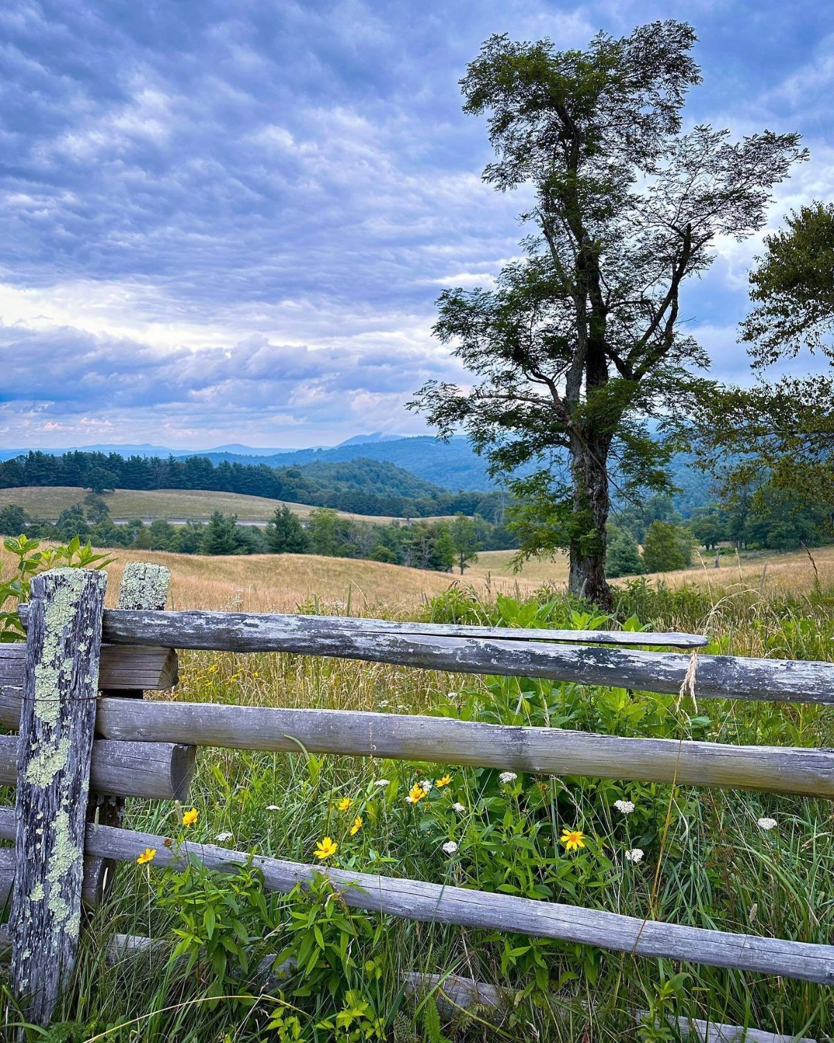 Solve Blue Ridge Mountain Skies at Doughton Park jigsaw puzzle online ...