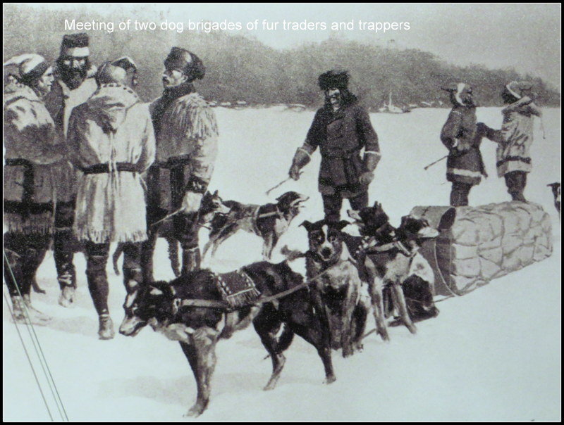 Solve Old Photo of dog brigades of fur traders and trappers jigsaw ...