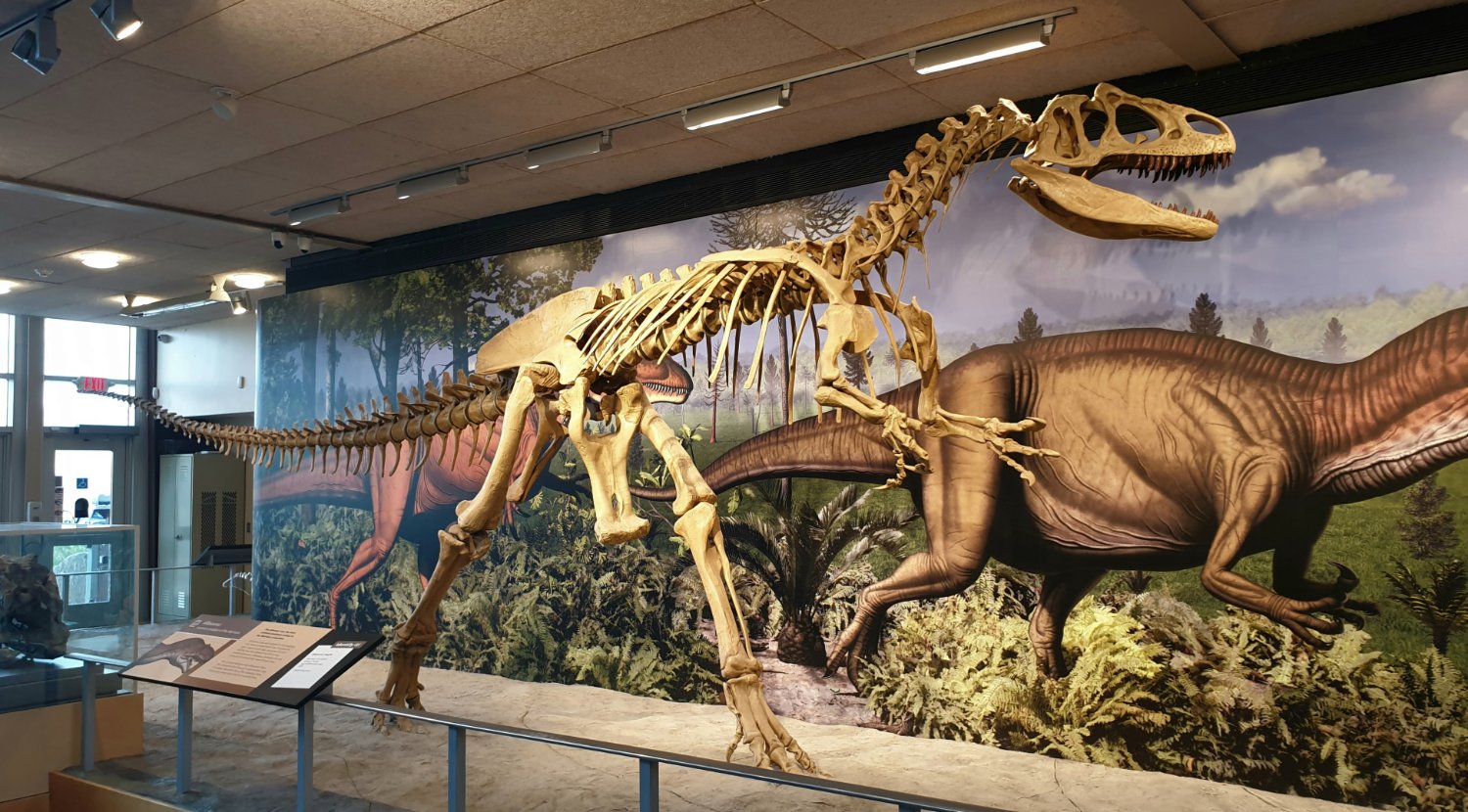 Solve FULL SKELETON jigsaw puzzle online with 28 pieces