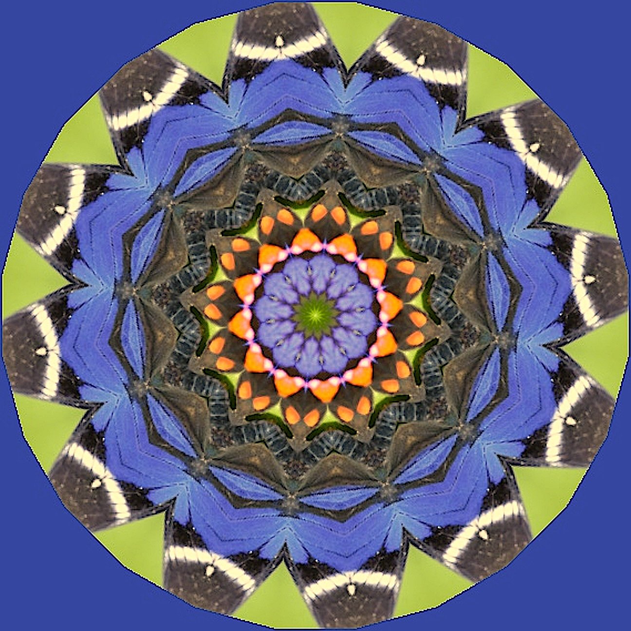 Solve #1 large jigsaw puzzle online with 144 pieces