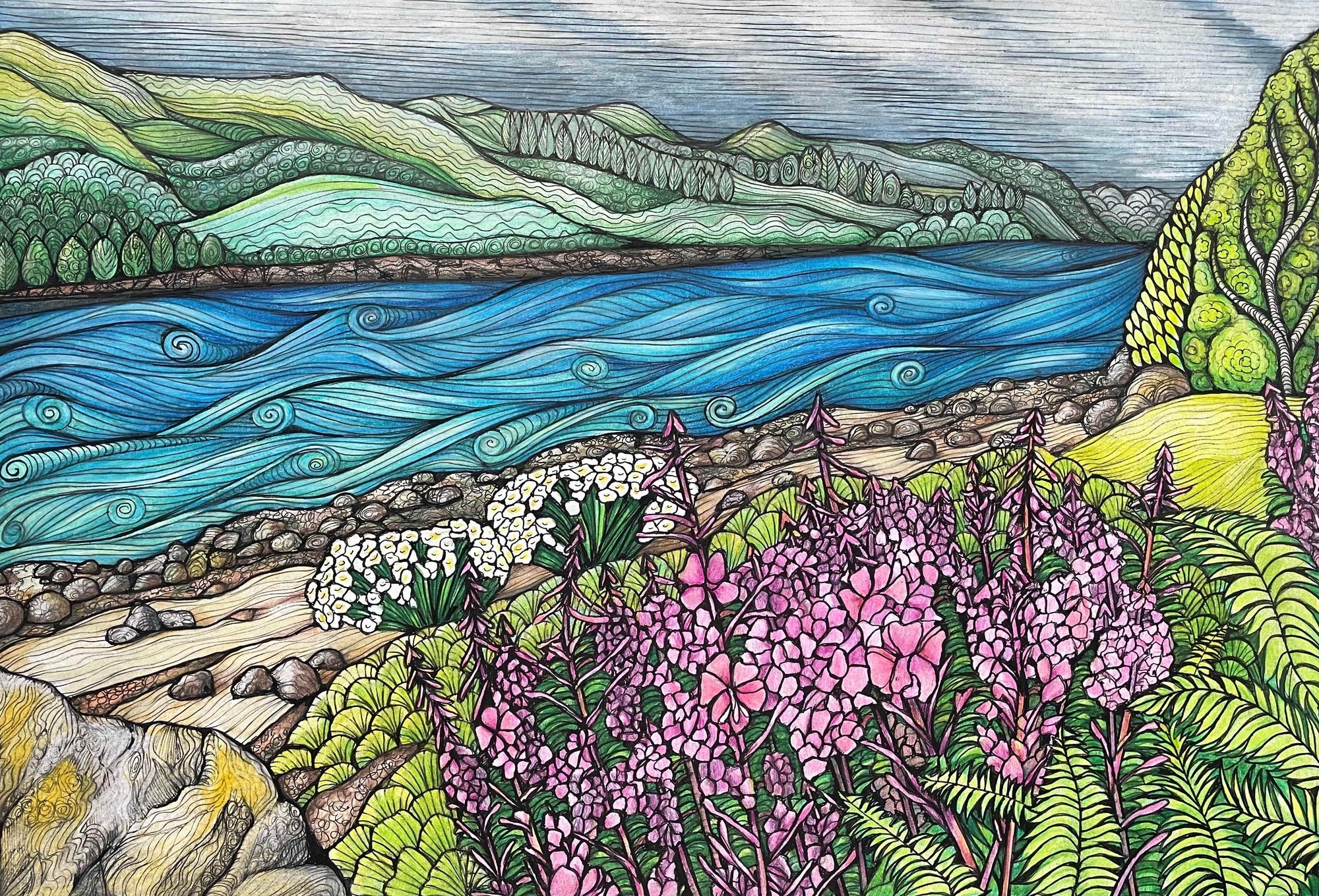 Solve Jennifer Guest, Rosebay Willowherb, Loch Sunart, ink and pencil ...
