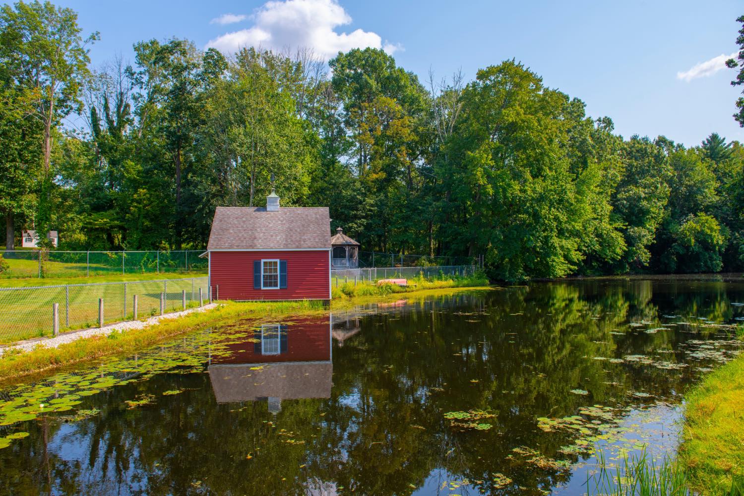 Solve Have You Got A Brook In Your Little Heart jigsaw puzzle online ...