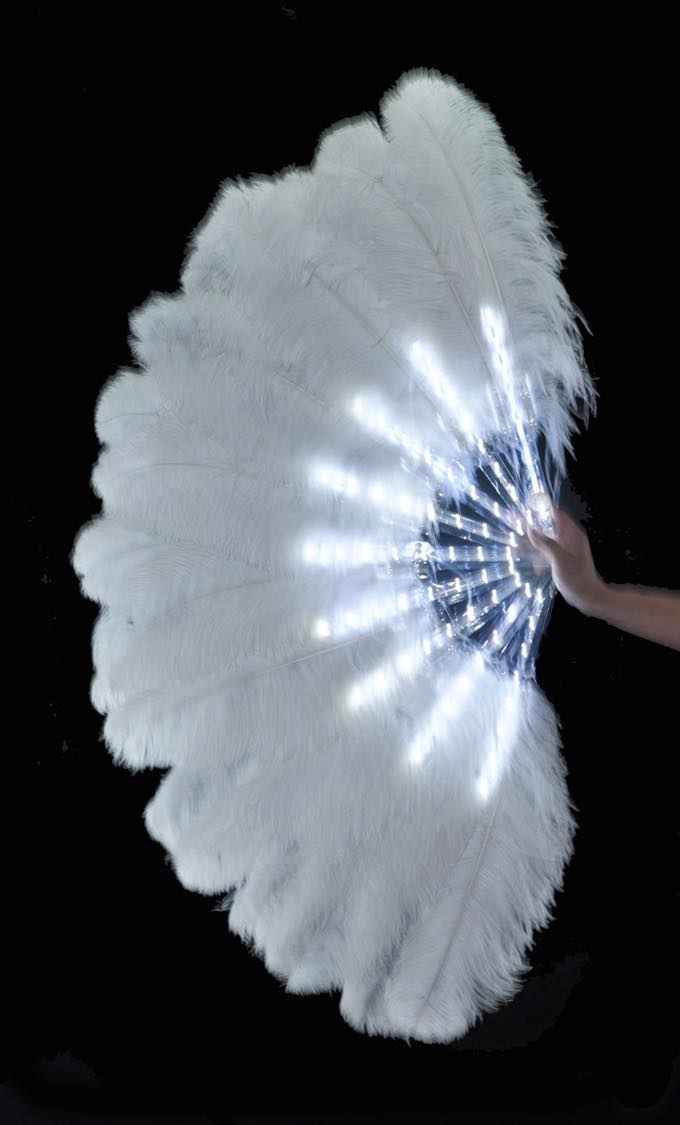 Jigsaw Puzzle | LED Lighted Dance Fan | 40 pieces | Jigidi