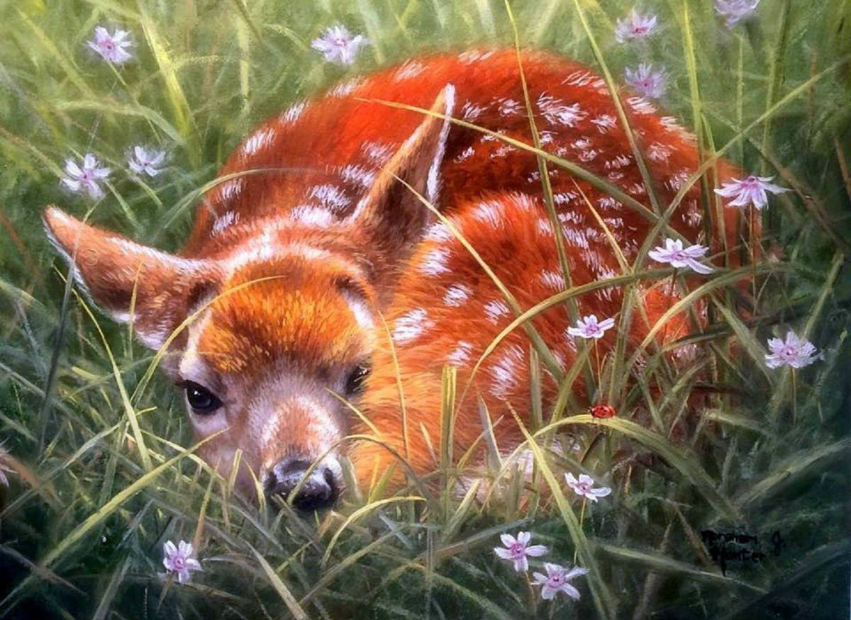 Solve Fawn Hiding in the Tall Grass jigsaw puzzle online with 108 pieces
