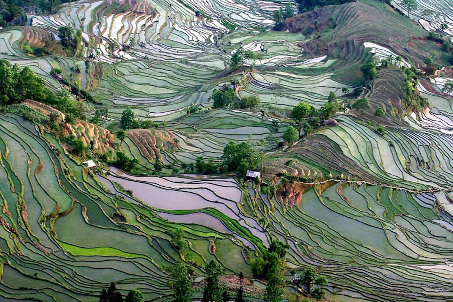 Solve 5 rice terraces of Yuanyang county in China’s Yunnan province ...