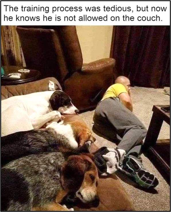 Solve Successful Students from PD's Obedience Classes jigsaw puzzle ...